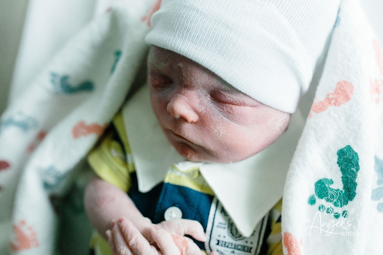 Zander : A Father's Grief Fuels Purpose - On Angels Wings
